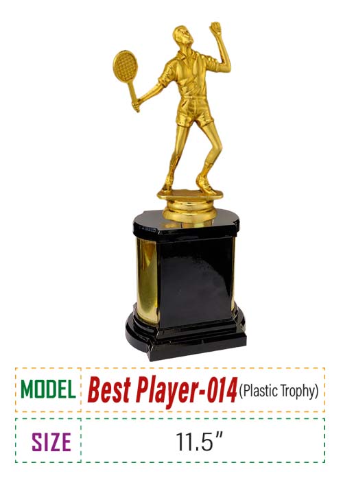 Best Player – 014 | Honor the best badminton players – Victory Eleven